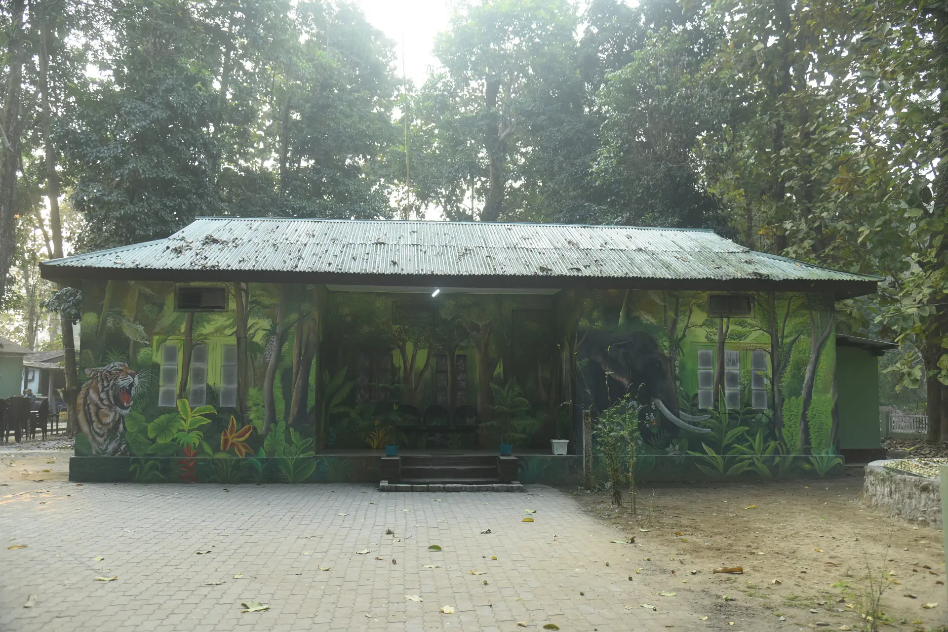 Benefits of Spending Time with Nature - Green Wings Homestay